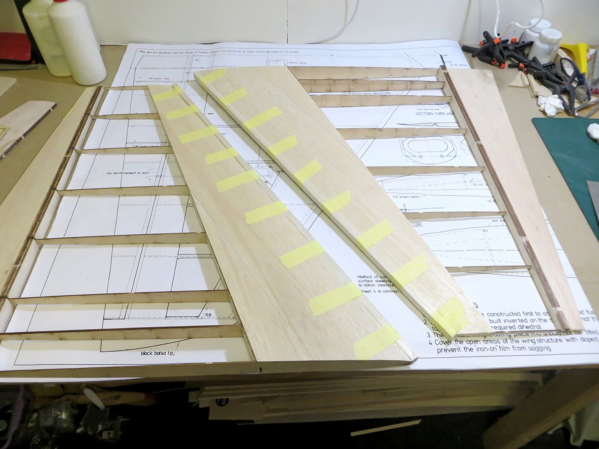 Delta Lady | RCM&E Magazine