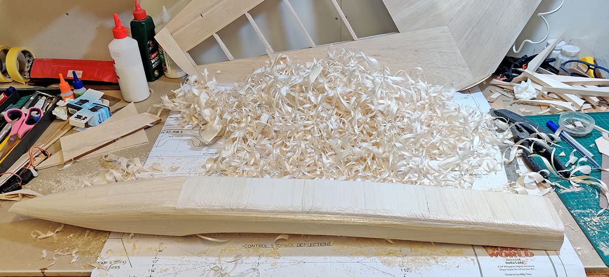 Delta Lady | RCM&E Magazine